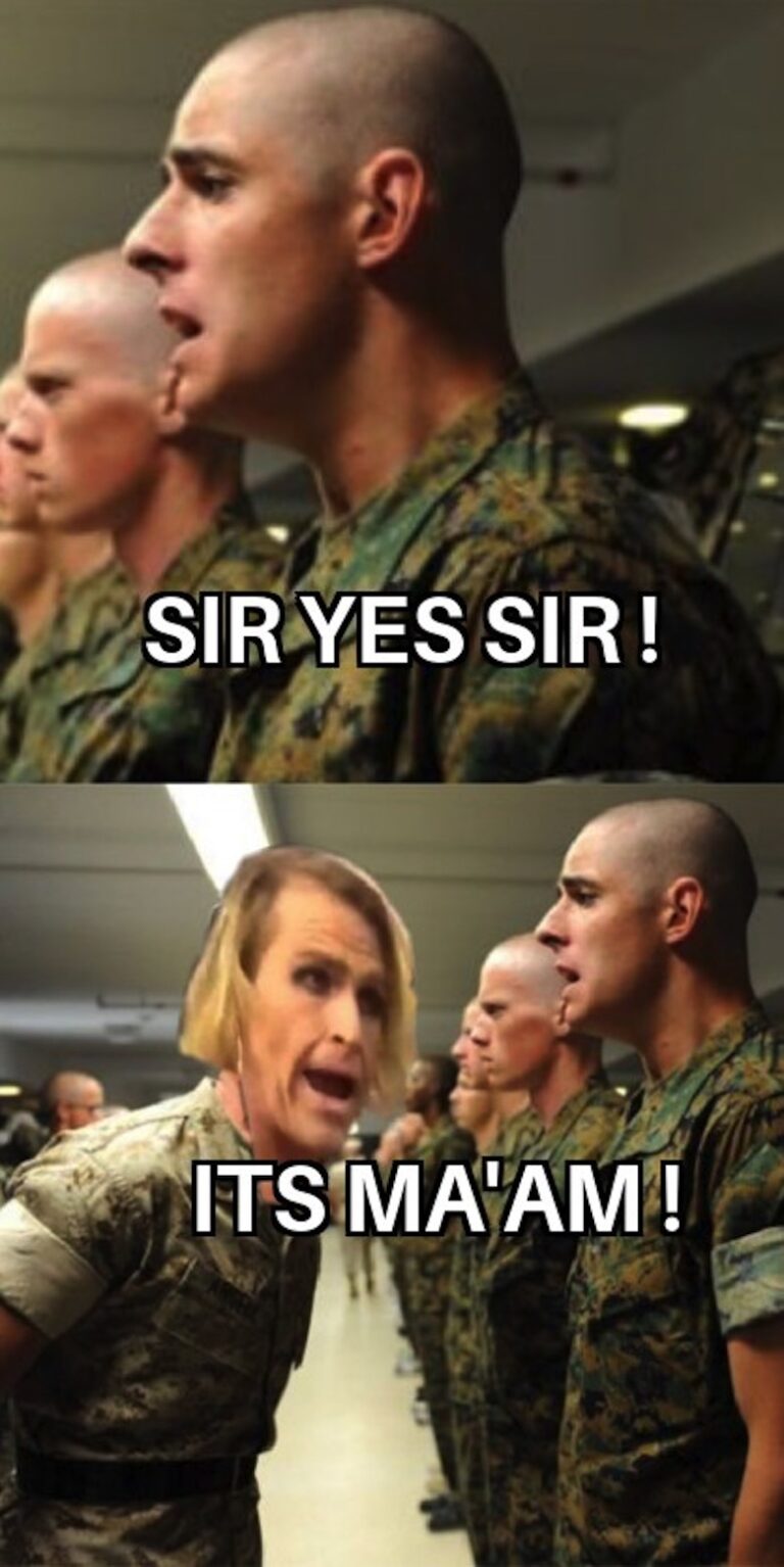 Why The Its Maam Meme Captivated The Internet: 20 New Meme 🙂 MemeVilla